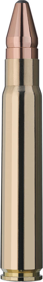 RWS cal.9,3x62 DK 225 grains - 14.8 grammes /20 - Rayon Chasse sur ...