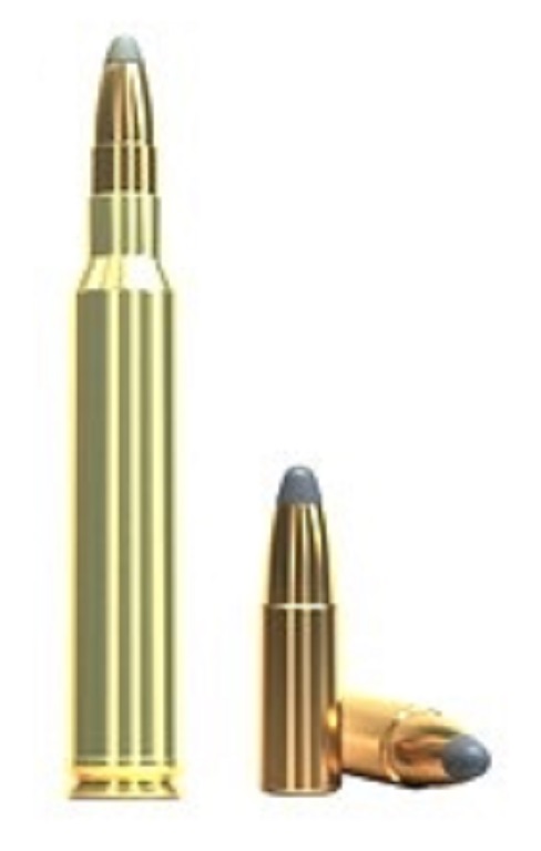 SELLIER & BELLOT cal.300 Win Mag SPCE 180 grains - 11.7 grammes /40 ...