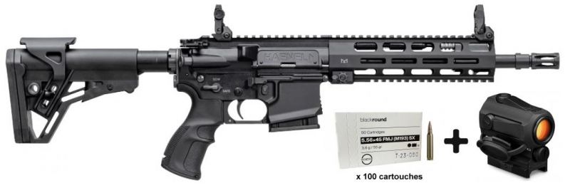 HAENEL CR 223 A2 10.5" Black "Pack VORTEX SPARC AR - 100 cartouches ...