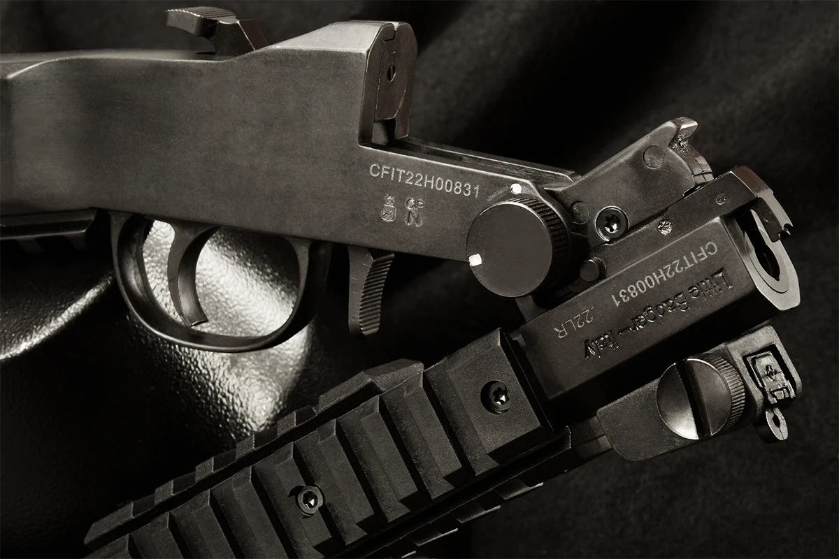 Carabine 22LR pliante CHIAPPA Little Badger Takedown Xtreme mono-coup ...