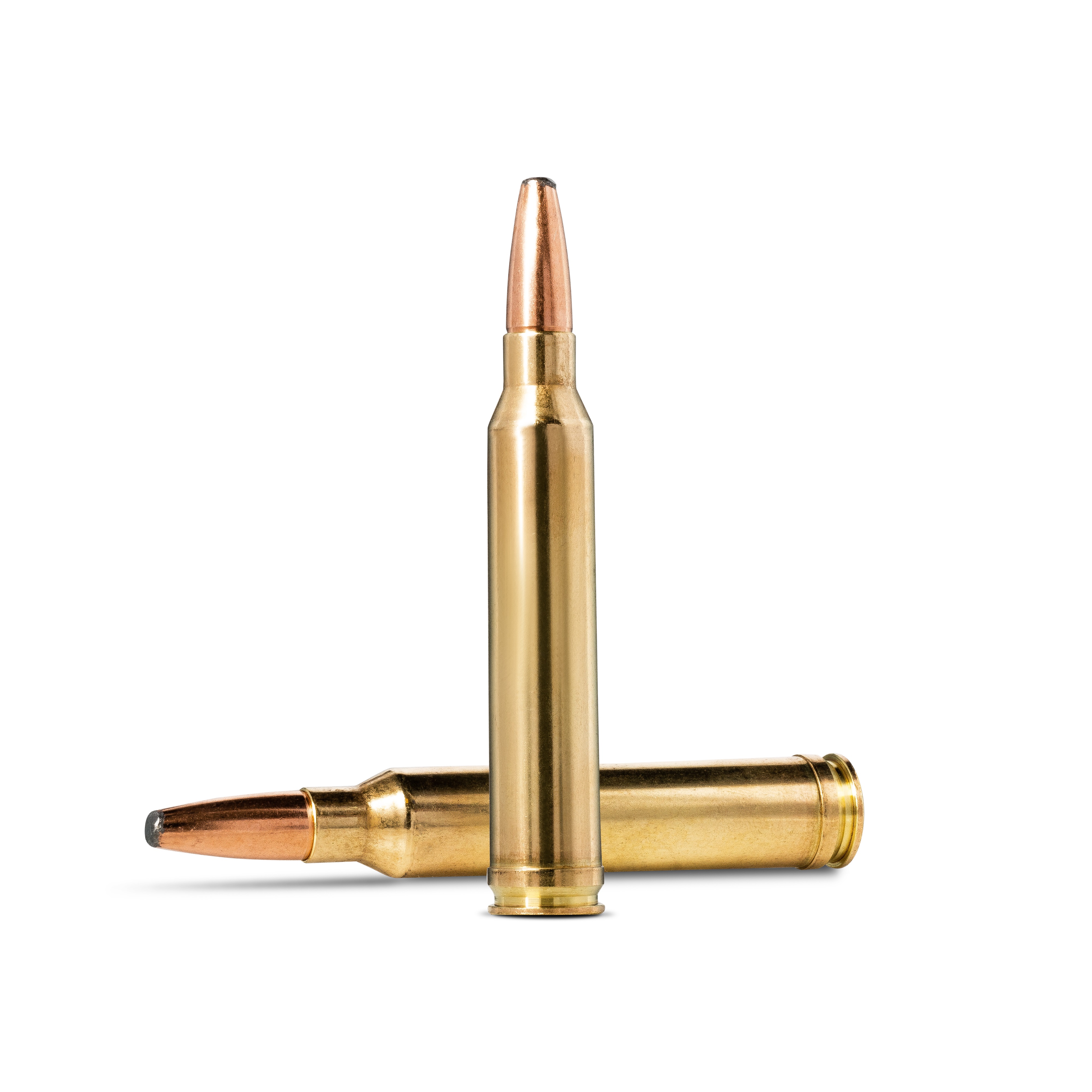 NORMA cal.300 Win Mag Oryx 200 grains - 13 grammes /20 - Rayon Chasse ...